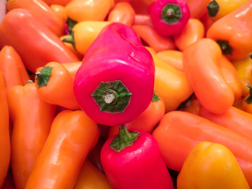 The new Culina Market Dempsey - a bigger and better shop for fine food ...