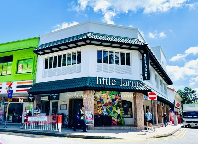 Little Farms Holland Village - New Cafe and Market - The Ordinary Patrons
