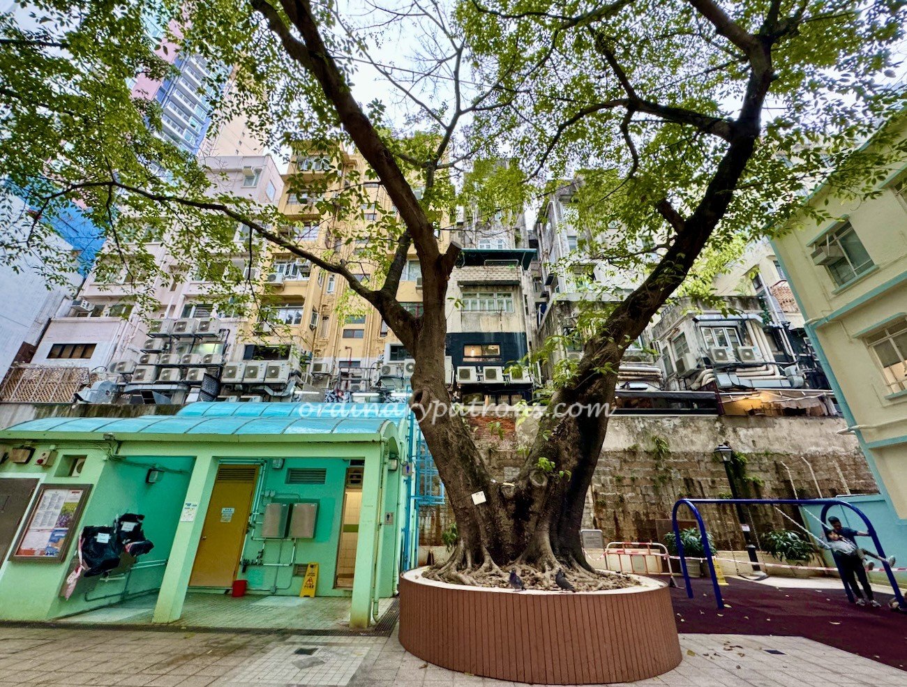 Kau Kee Beef Noodles HK - Michelin Bib Gourmand Restaurant in Central ...