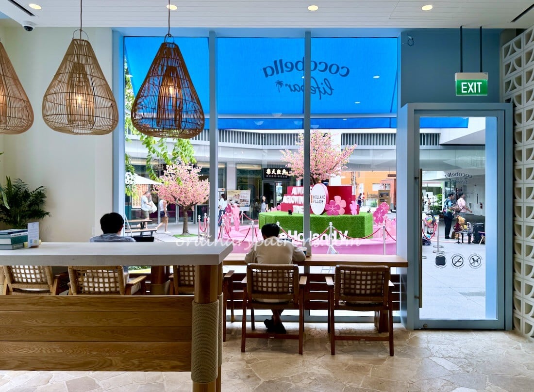 Cocobella Lifebar One Holland Village: Cute cafe serving coconut drinks ...